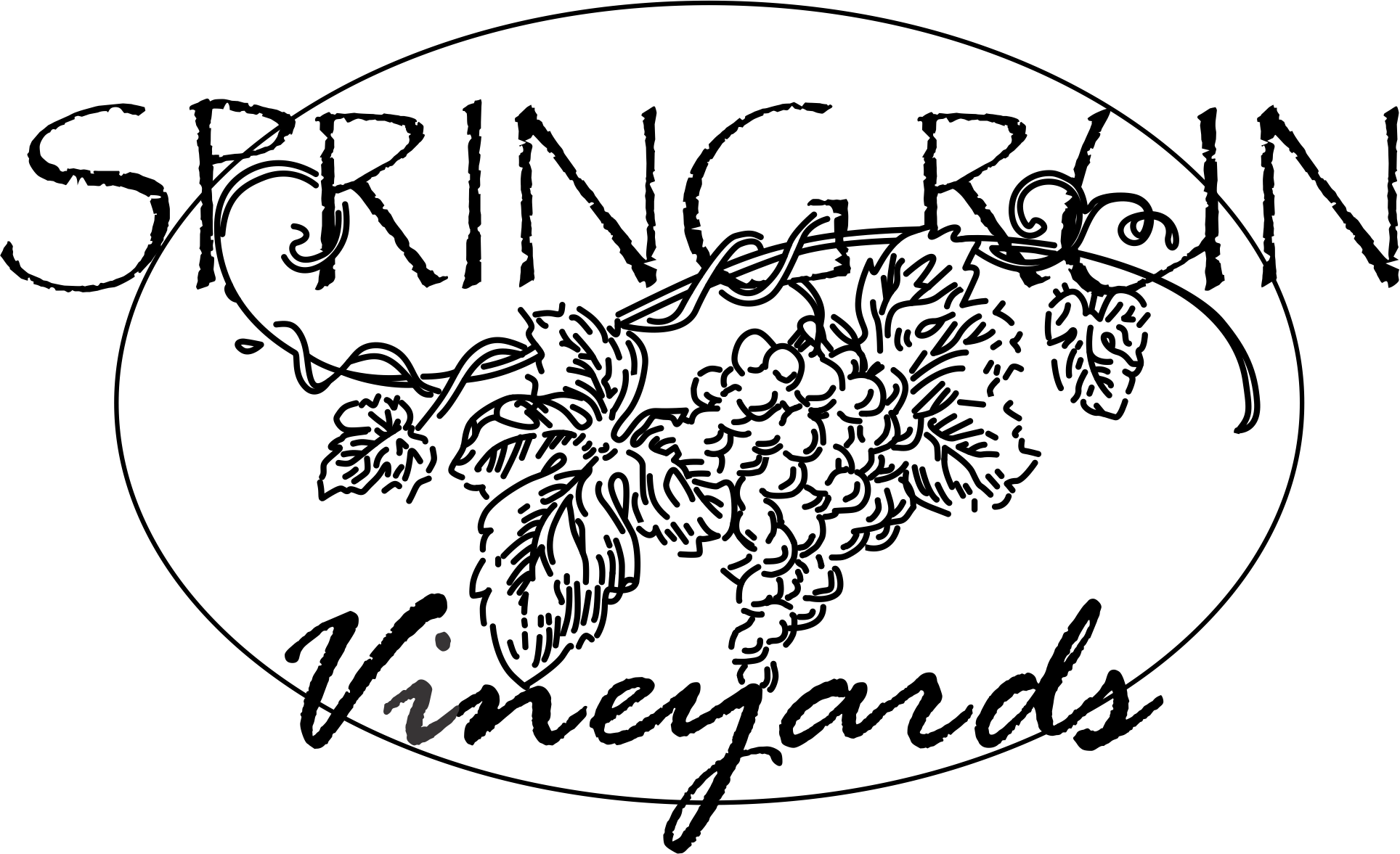 Spring Run Vineyards - Home